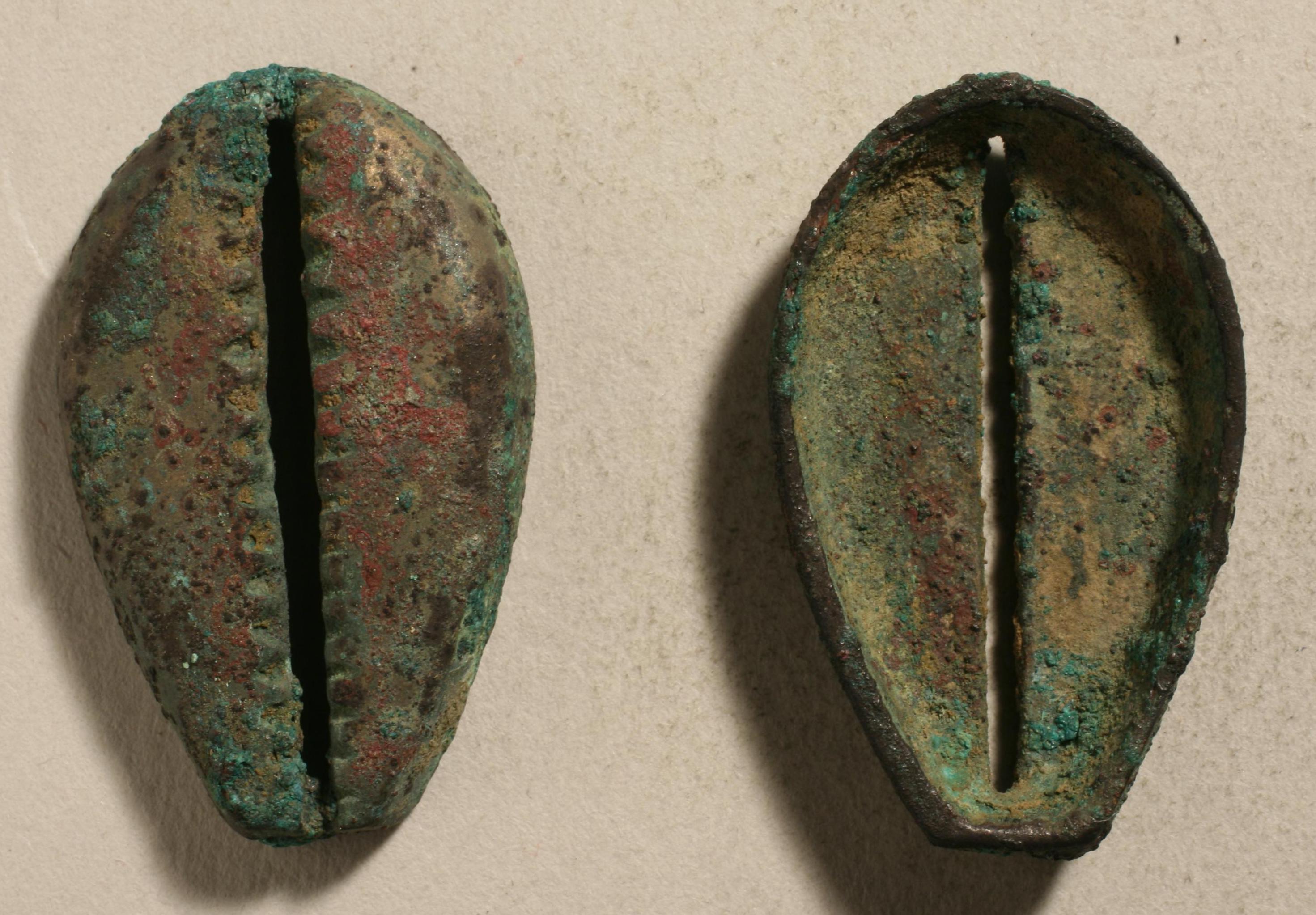 How did the ancient sea shells be imported into the inland areas of the ...