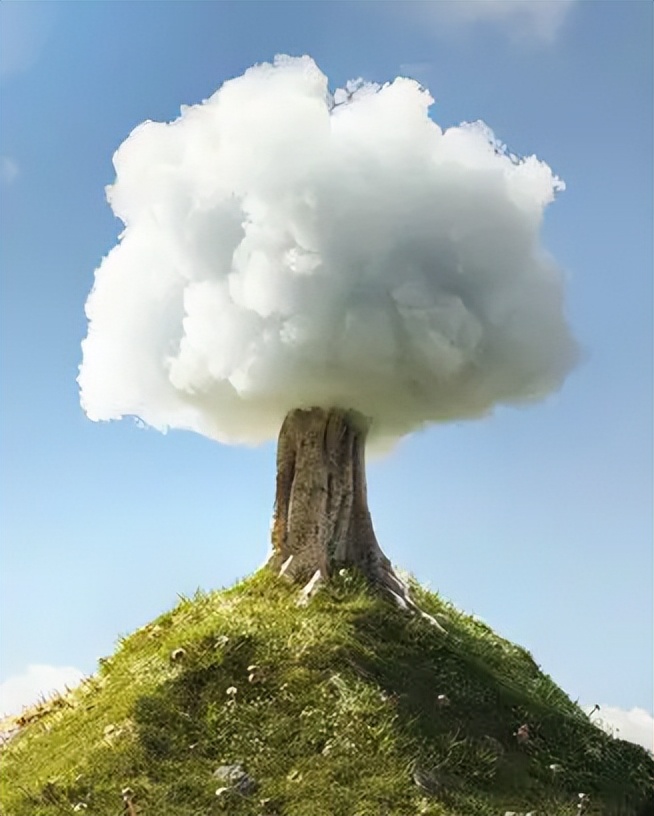 Unraveling the Curse: Exploring Cloud Tree's Conspiracy - iNEWS