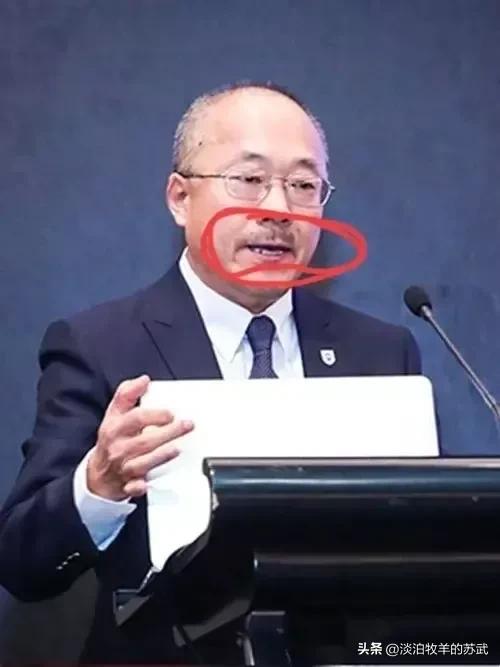 The real version of Spy Shadow is heavy, and the three big fishes in ...