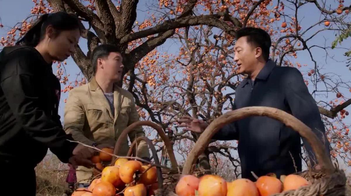 Nostalgia for mother-in-law: female legends in "persimmon red every ...