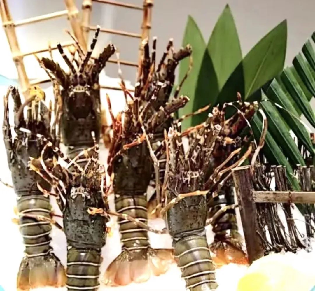 Guangzhou Fish and Fresh Seafood Buffet - iNEWS