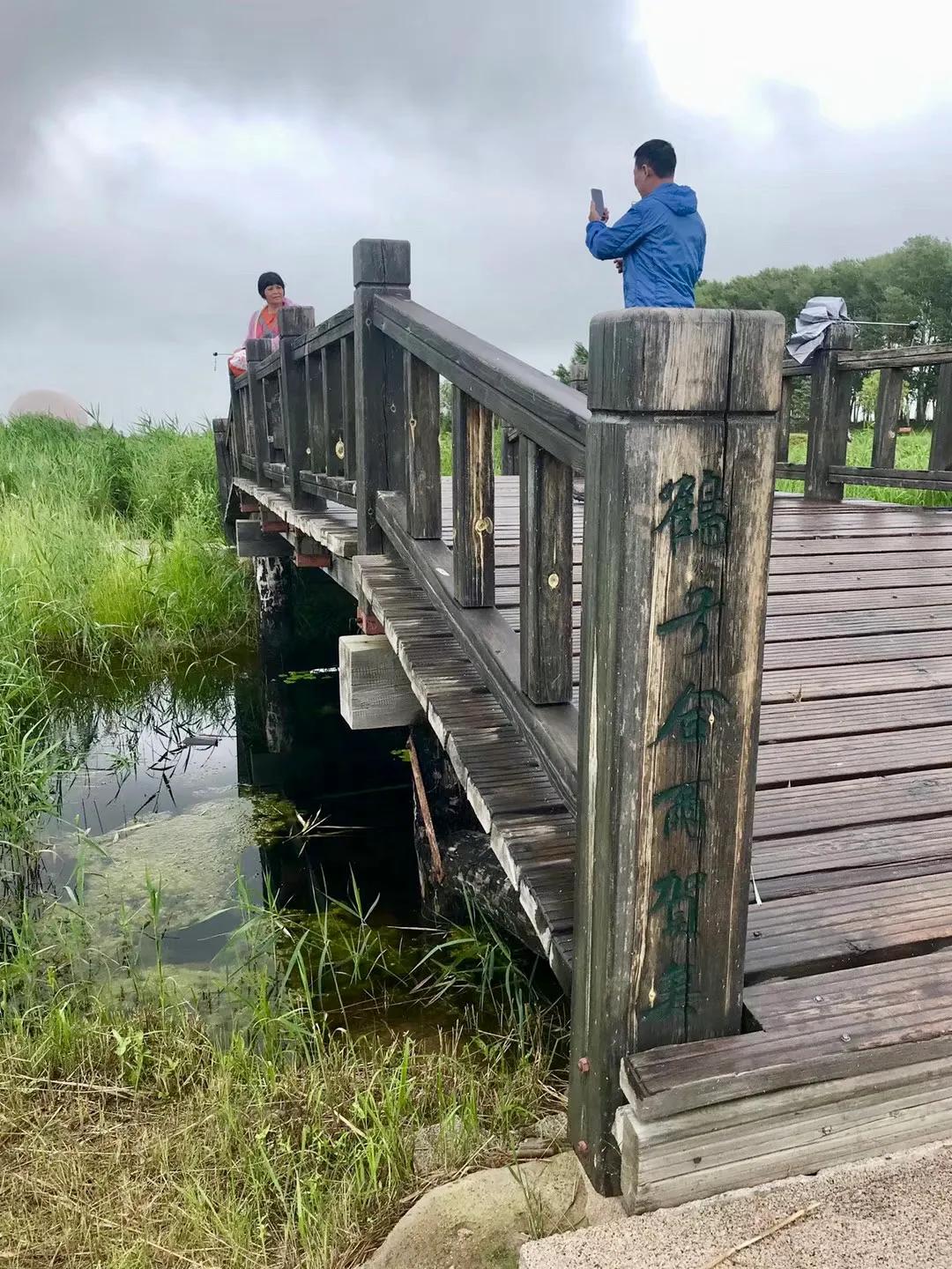 Journey to the North (1) - Zhalong Wetland - iNEWS