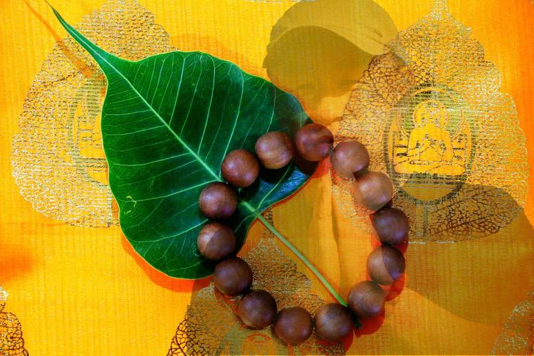 The last life of Buddha: The Buddha saw that the lonely elder came to ...