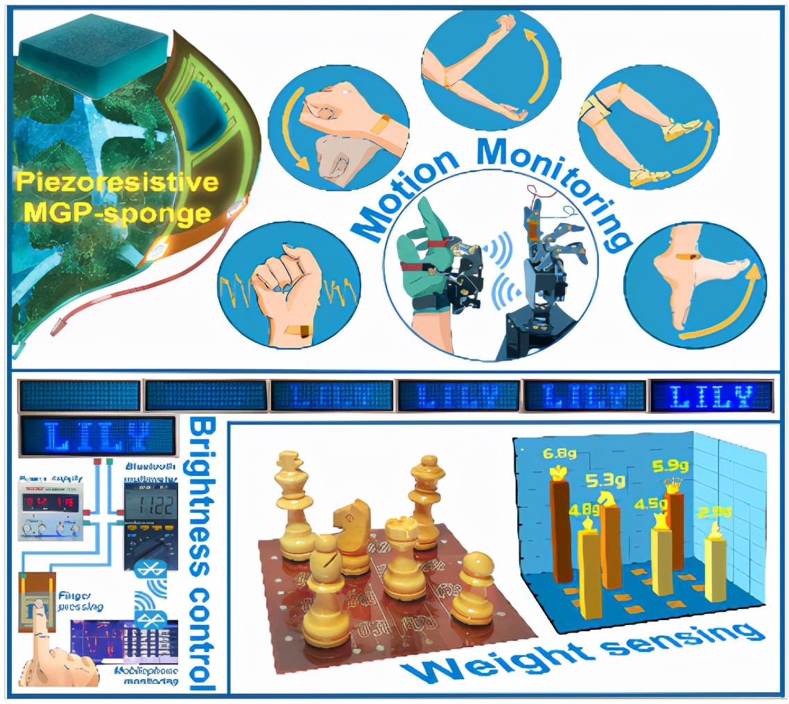 MXene/rGO/PS Multiphysics Network Architecture for High-Performance Pressure Sensors - iNEWS