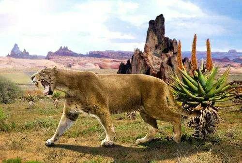 Why did the ferocious saber-toothed tiger go extinct?Tiger is not as ...