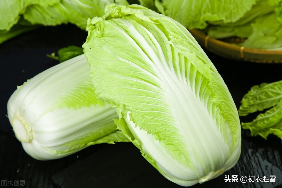 Talk about cabbage in early winter, enjoy reading eight ancient poems ...