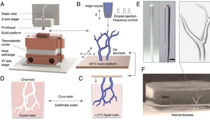 3D printing process can produce new biomedical and electronic devices ...