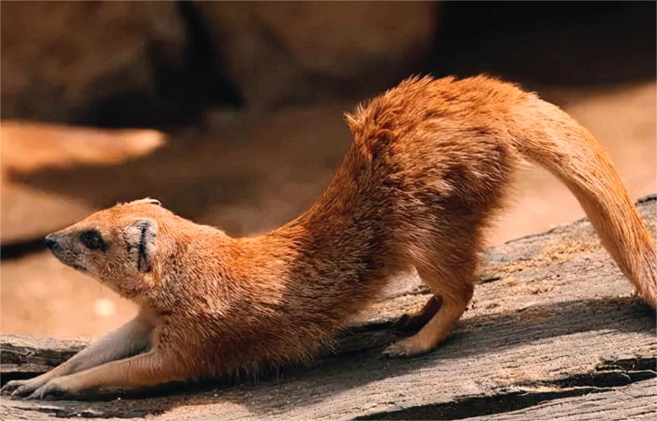 Rural documentary: When I was a child, in my hometown in the ...