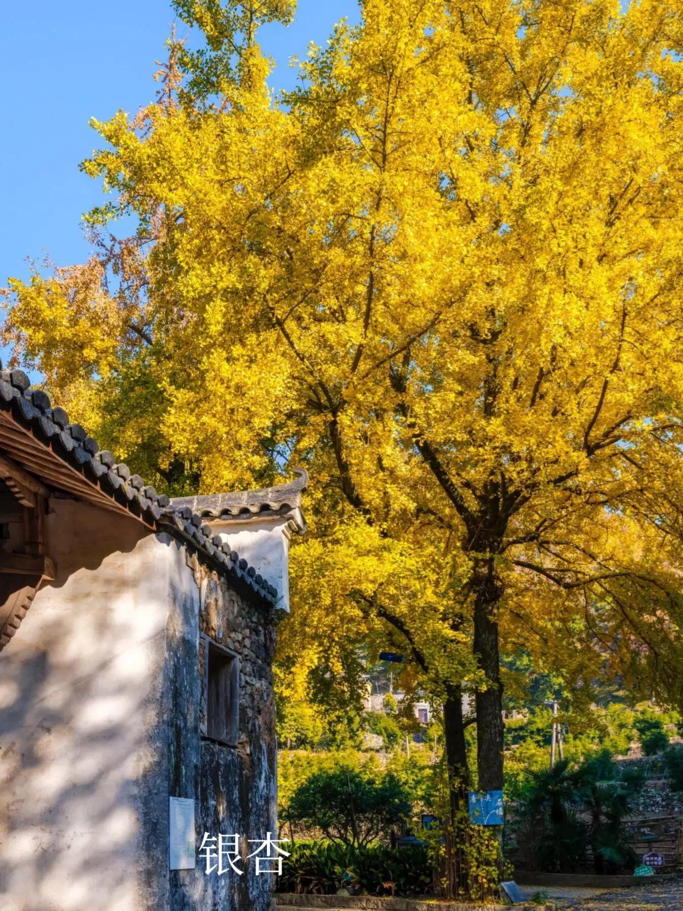 Doomsday heat, how to deal with it? - iNEWS