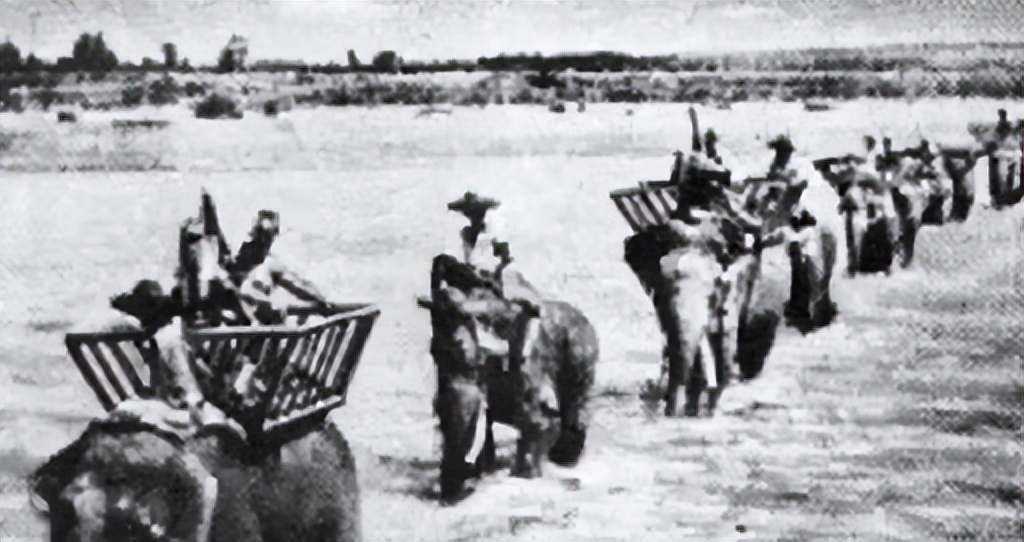 In the Battle of Imphal, how did the "Allied spy" Mutaguchi kill tens ...