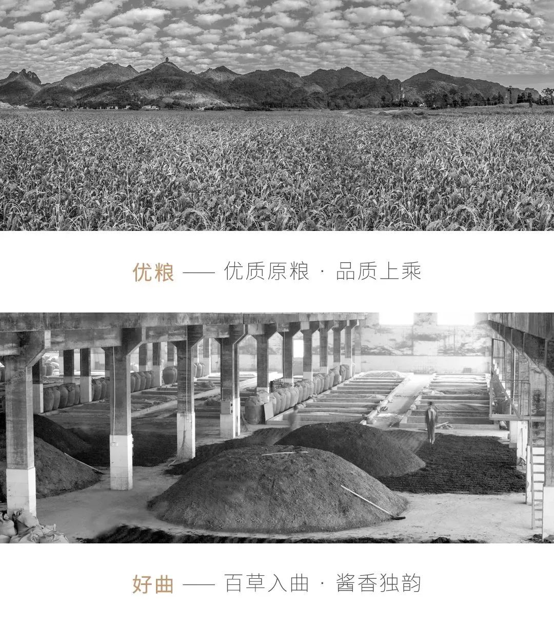 A top-level Zhibao with deep meaning - iNEWS