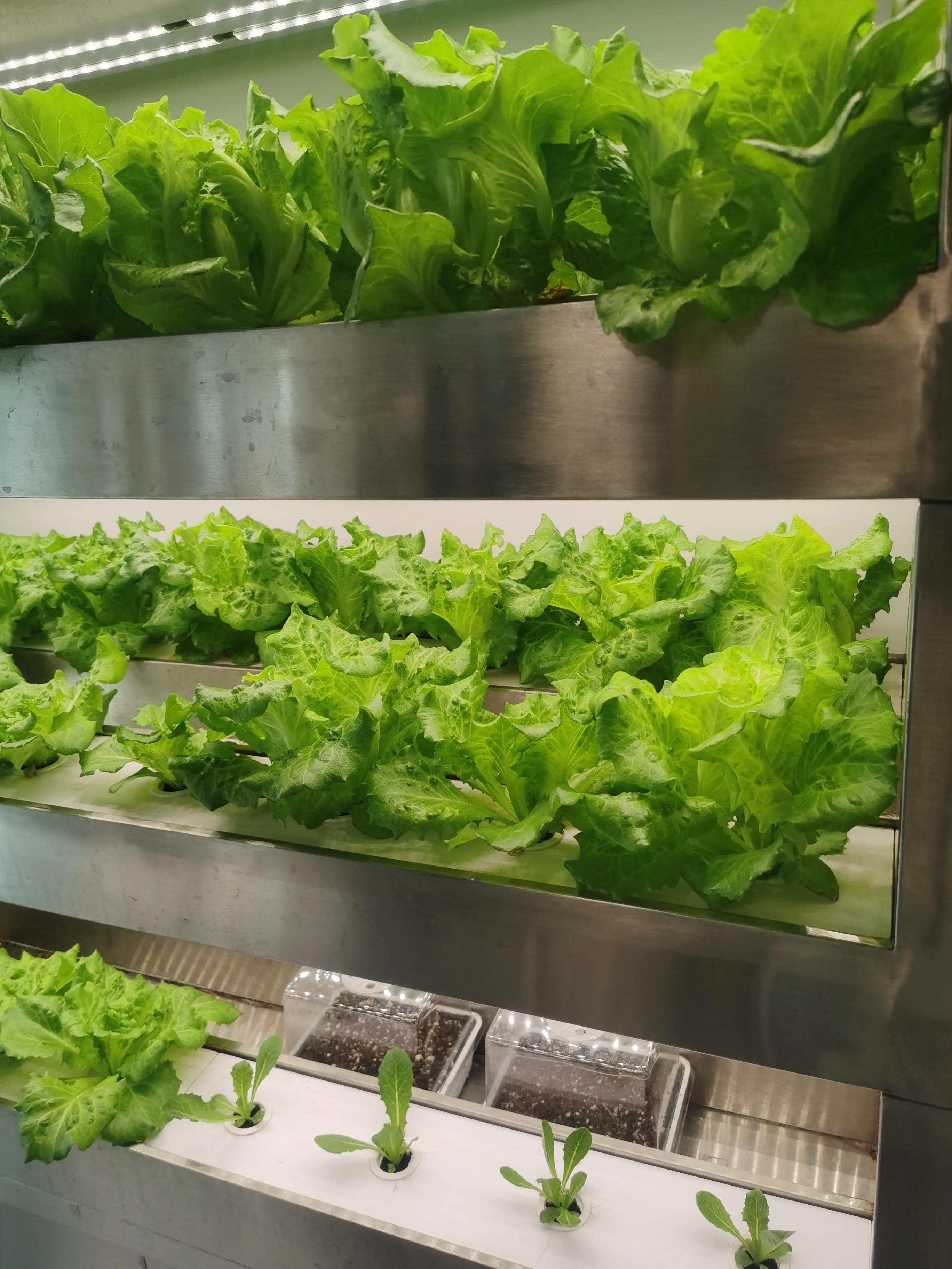 The universe is the laboratory of level 12 civilization - iNEWS