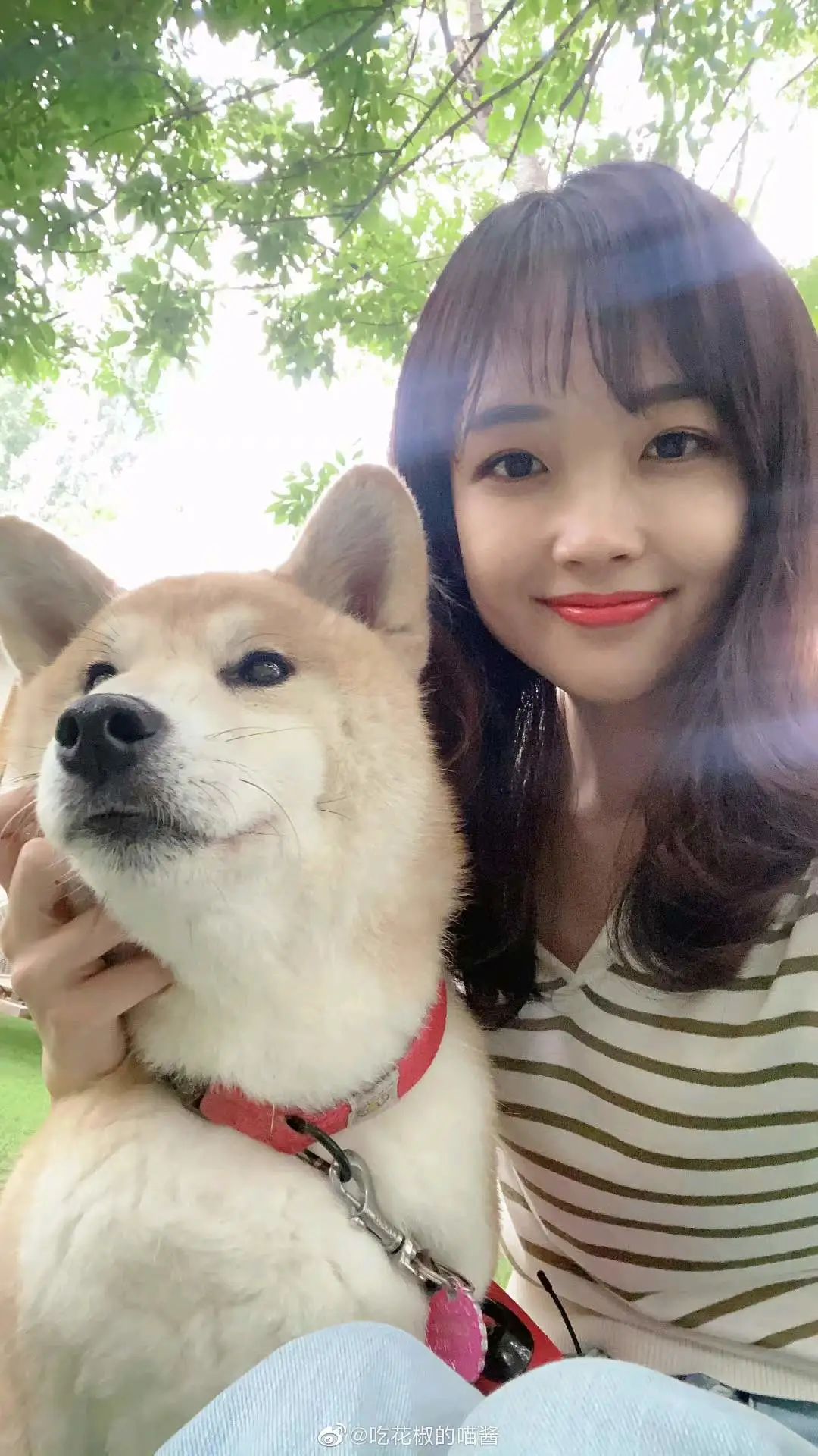 Wang Hedi, four characters, shredded pork Zhao Liying, Wang Bingbing ...