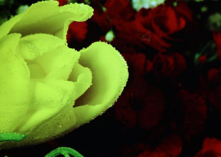 Cool Shadow X3P evaluation: the ultimate performance of the flagship ...