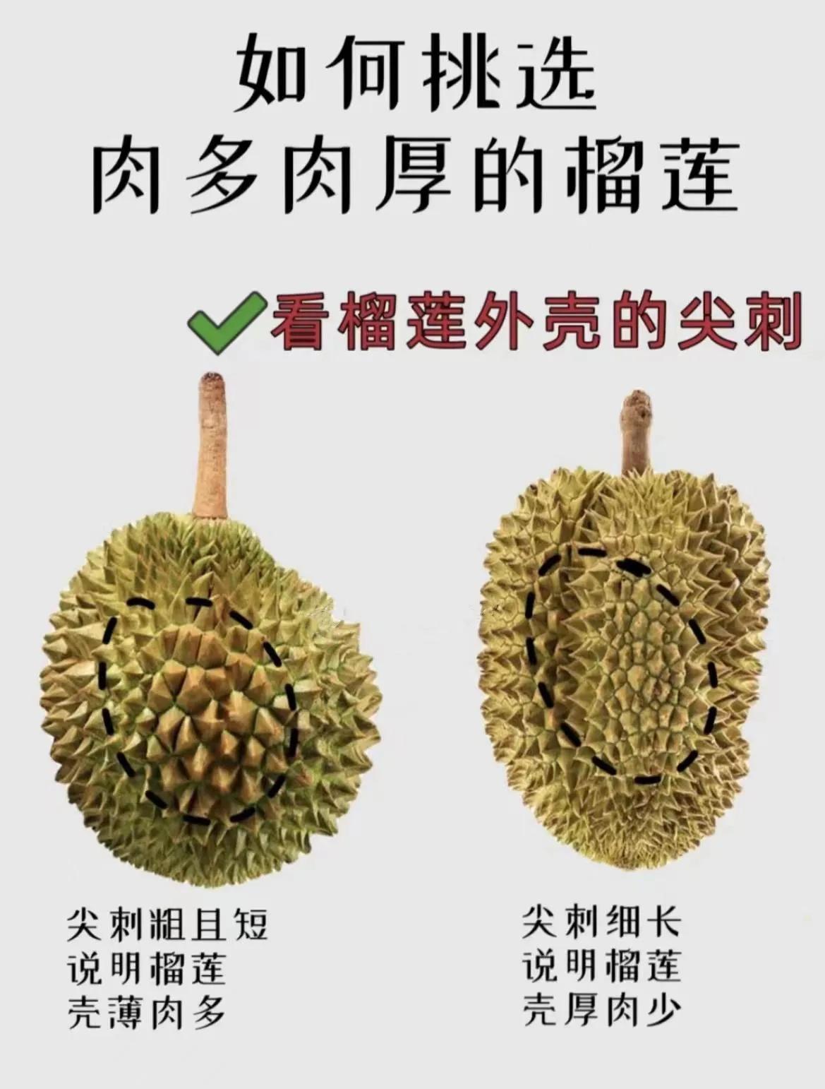 Is it durian season again? How to choose durian? - iNEWS