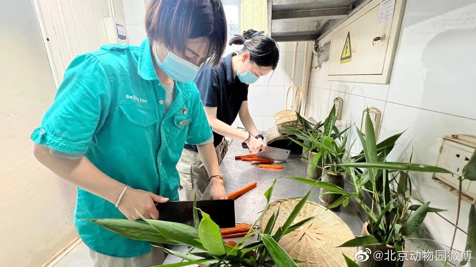 The national treasure "Fu Xing Pang Dahai" ushered in its 6th birthday ...