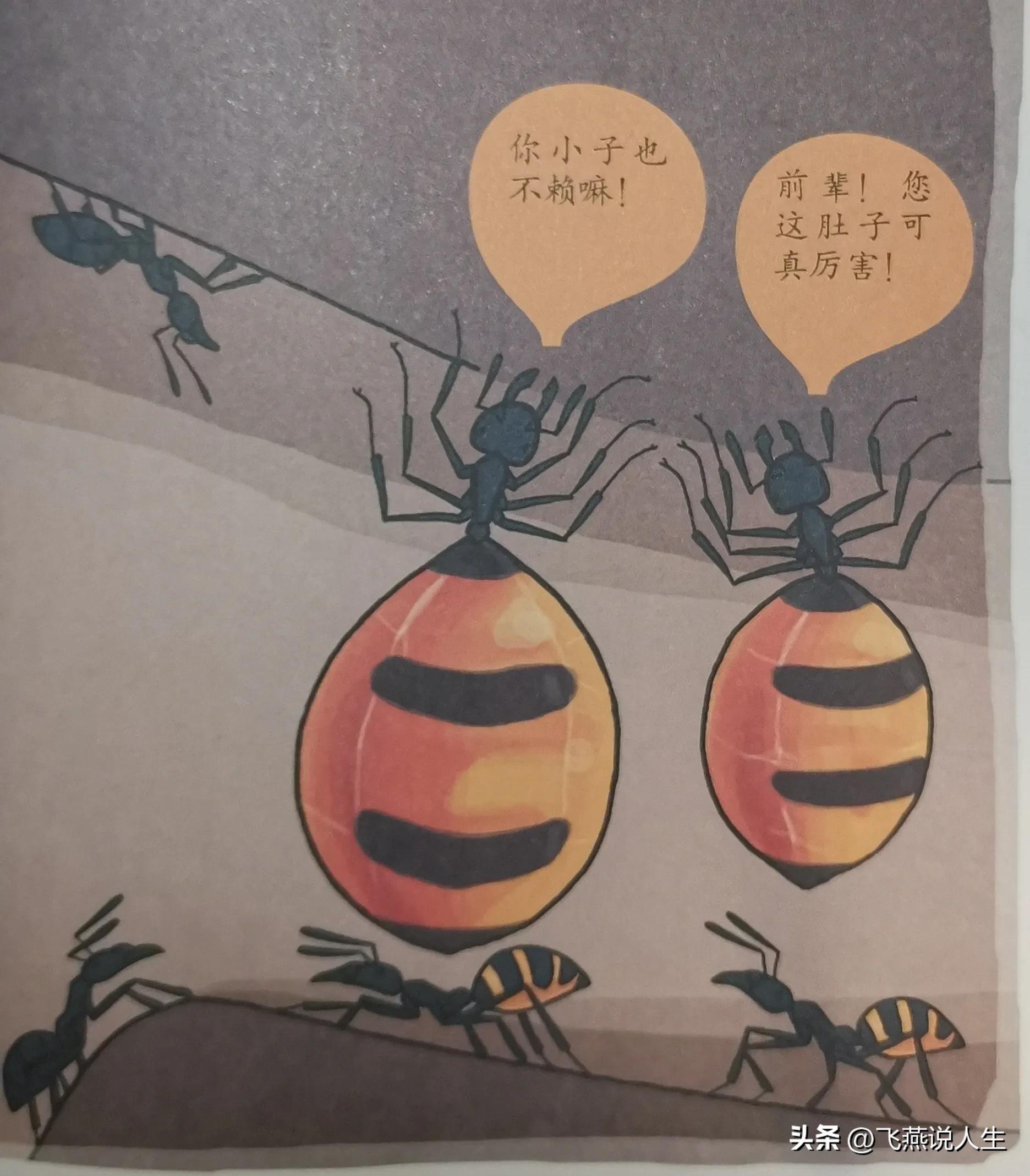 "Wonderful Insect Illustrated Book": Legends of the Insect World - iNEWS