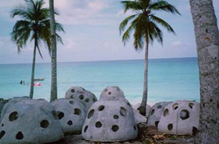 Reef Ball Making Secrets You Didn't Know! - iNEWS