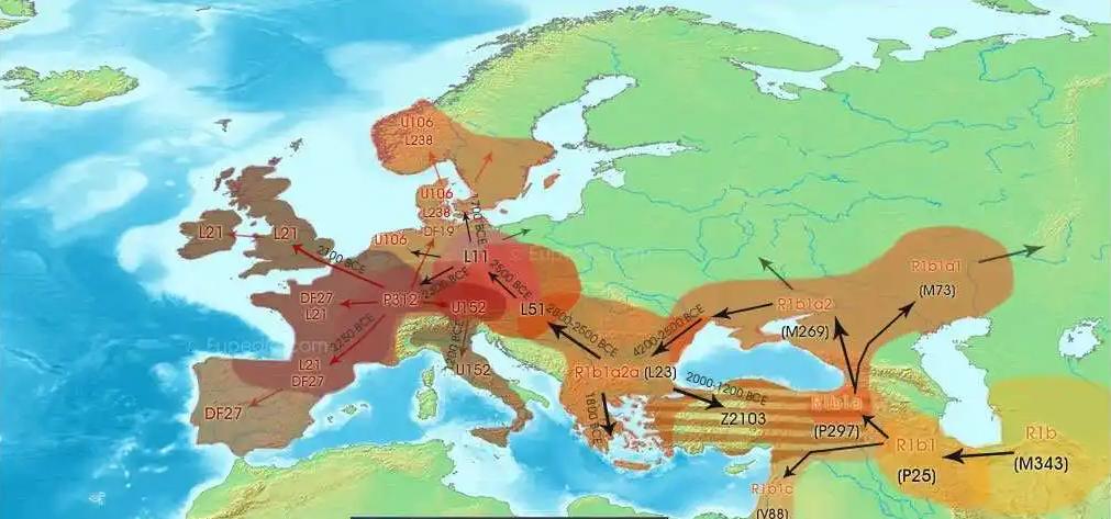 What impact did the Great Migration in European history have on the ...