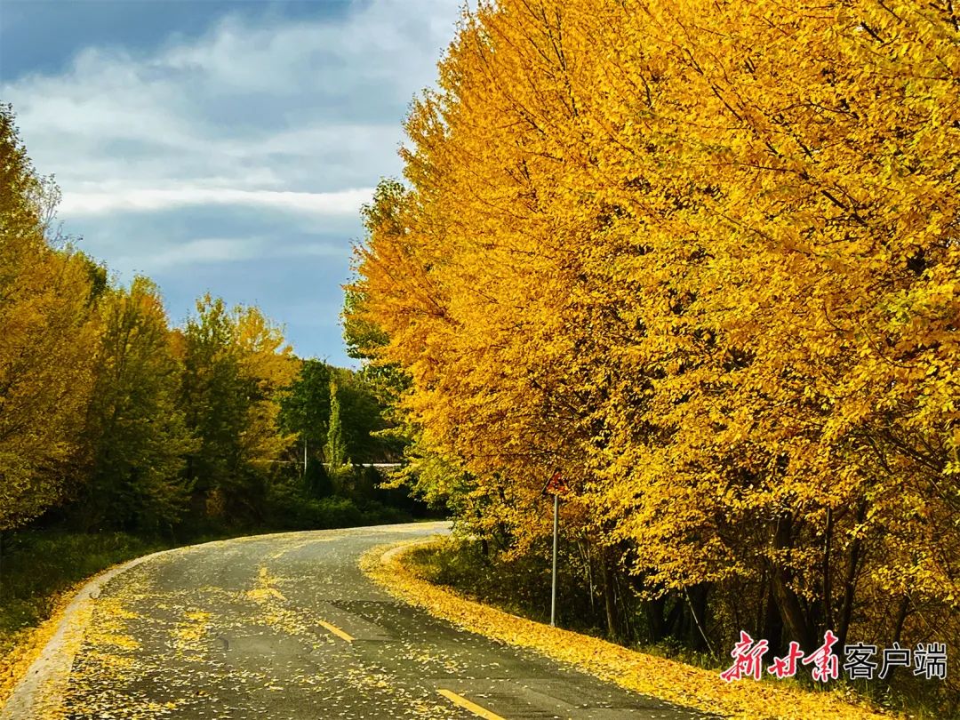 What is Longxi? - iNEWS