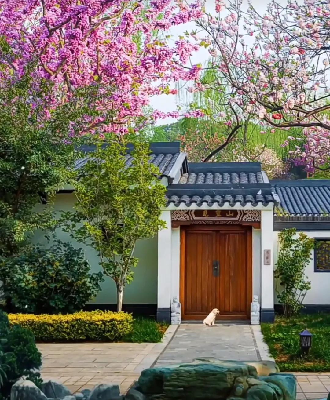 A gentleman is peaceful but not rude, neutral and not dependent - iNEWS