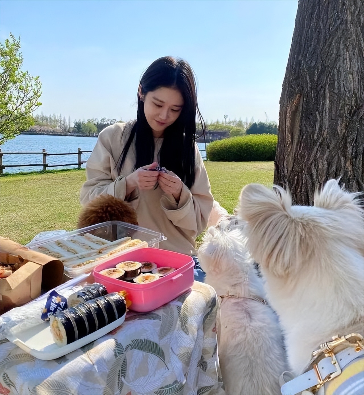 Also likes to cook, Jang Nara's exquisite western food, compared to Son ...