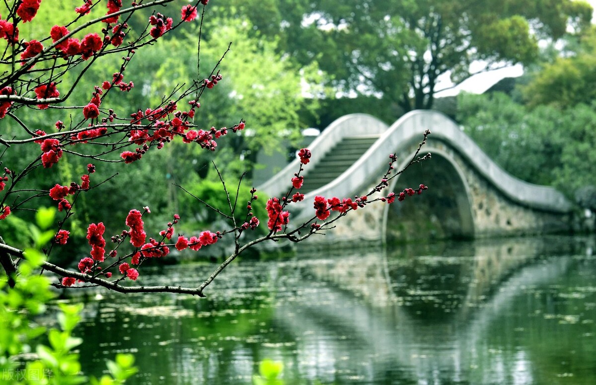 Li Garden: Gardens in the South of the Yangtze River in Ink Painting ...