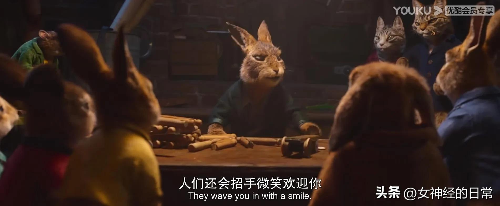 "Peter Rabbit 2: The Escape Plan": Learn to accept yourself and love ...