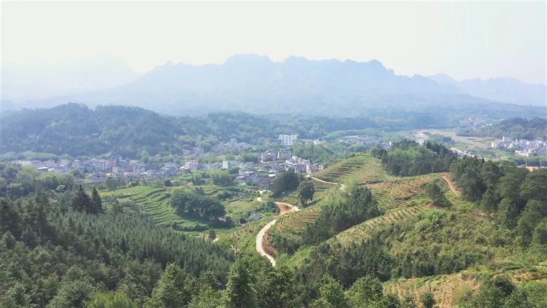 Village beauties and people are rich!The changes in this township in ...