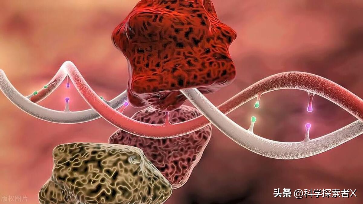 The Amazing DNA Code: Secrets of the Origin of Life Revealed - iMedia