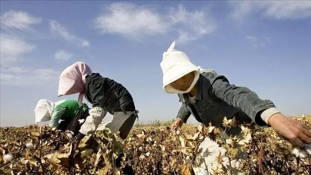 A Brief Analysis of the Contributions of the Underclass People in the ...