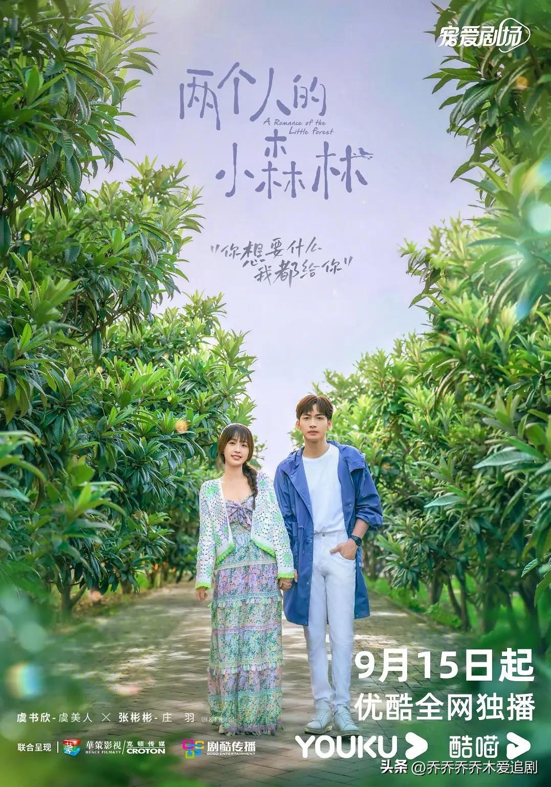 In 2022, Youku's Top 10,000 TV series list, Amway, have you ever chased ...