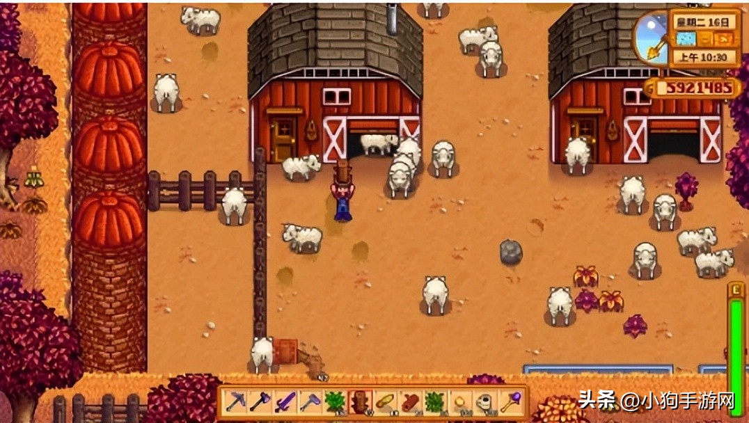 What is the overall revenue of the barn in Stardew Valley? - iNEWS