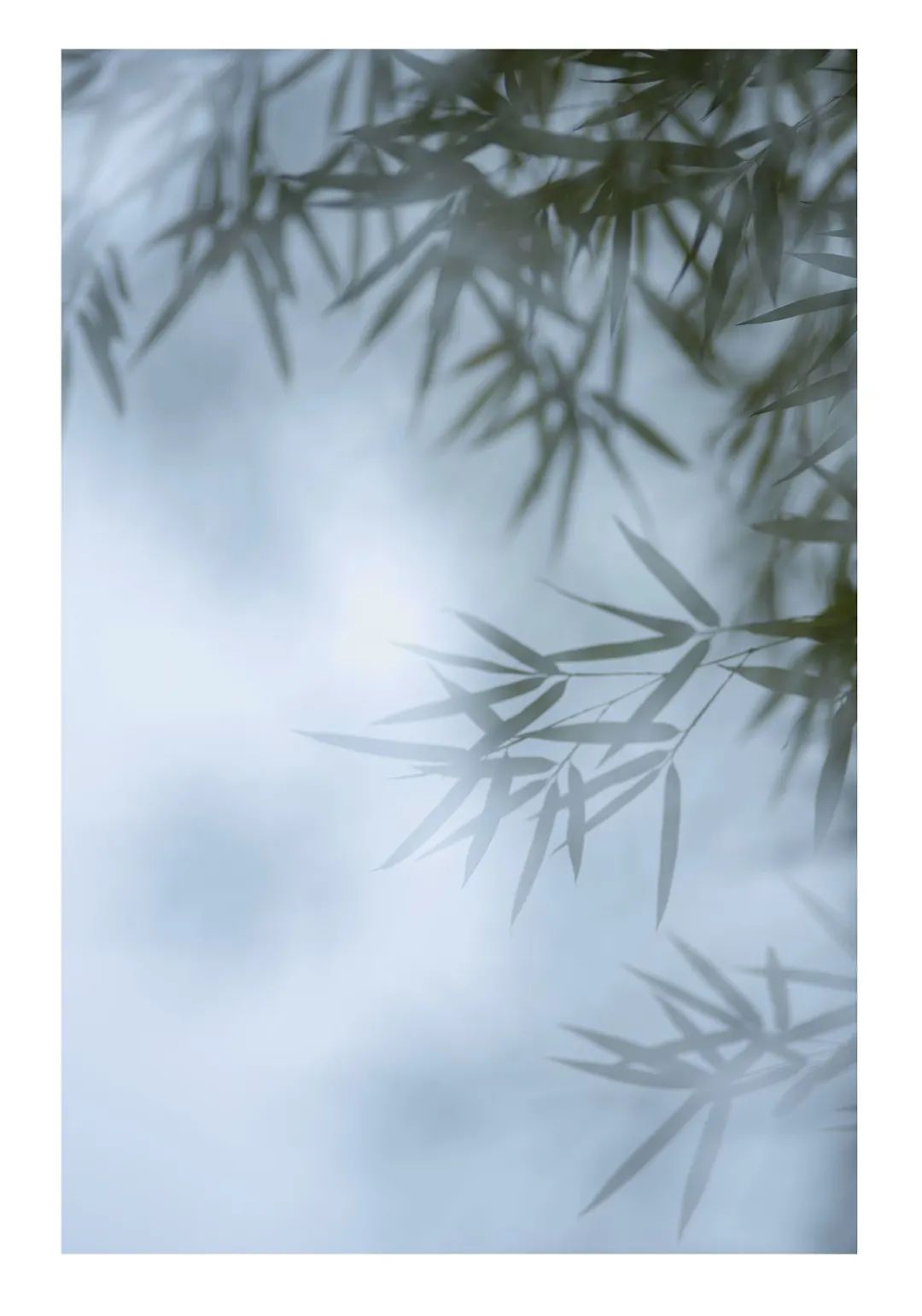 The tea poems of Qian Qi, a genius of the Tang Dynasty, are extremely ...