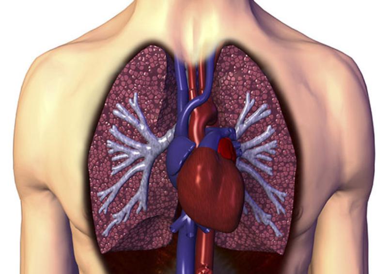 Pulmonary heart disease?Difficulty breathing and cardiopulmonary ...