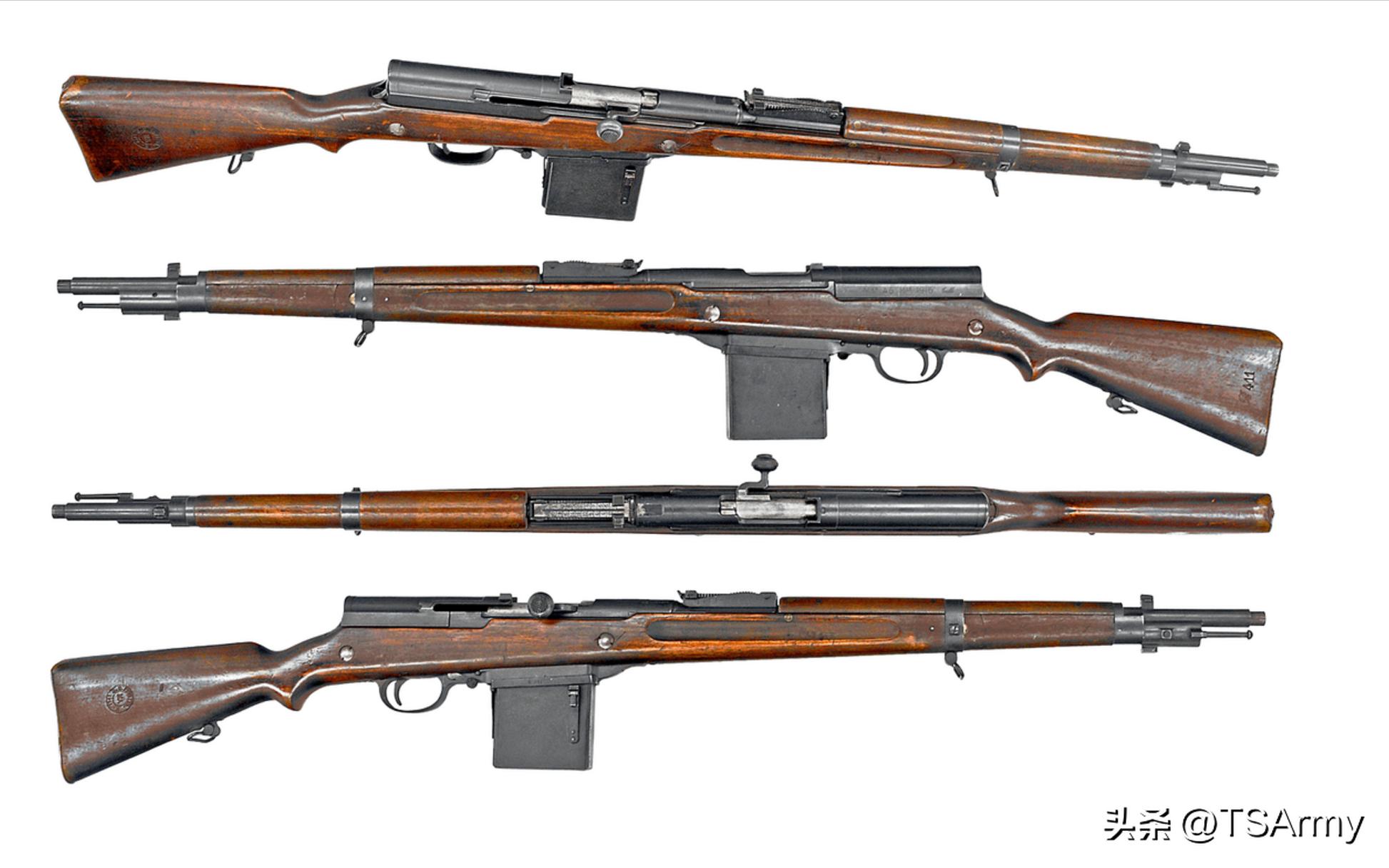 Inventory of 31 semi-automatic rifles in the world, most of which are ...
