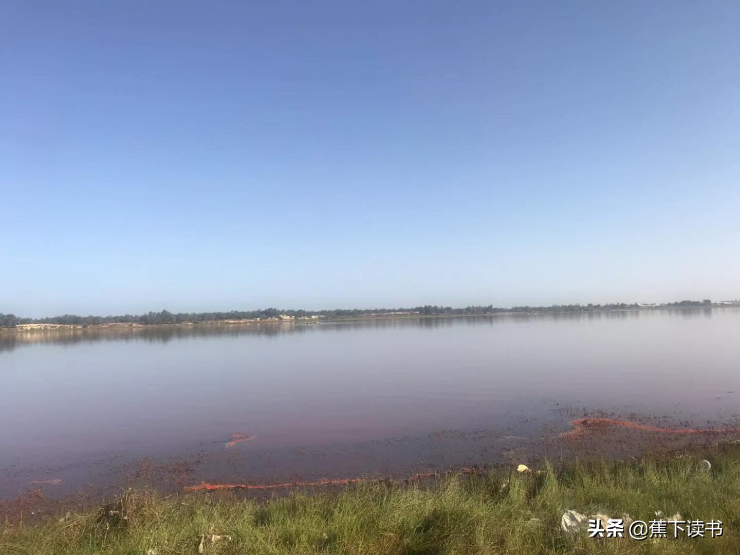 Walk into the beautiful Rose Lake - iNEWS