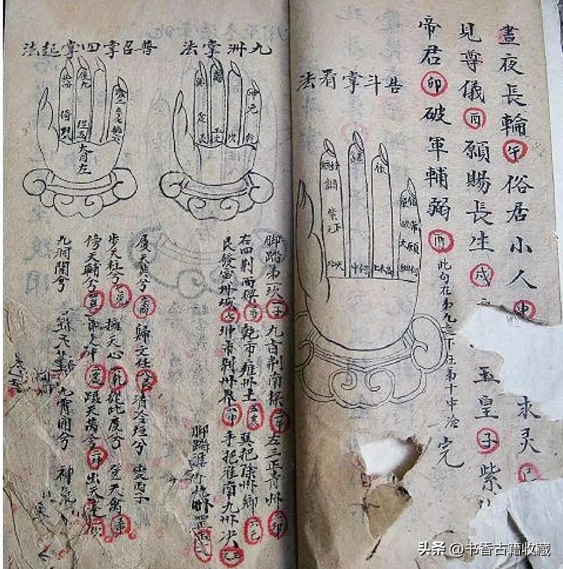 There is also this kind of ancient book that specifically records palm ...