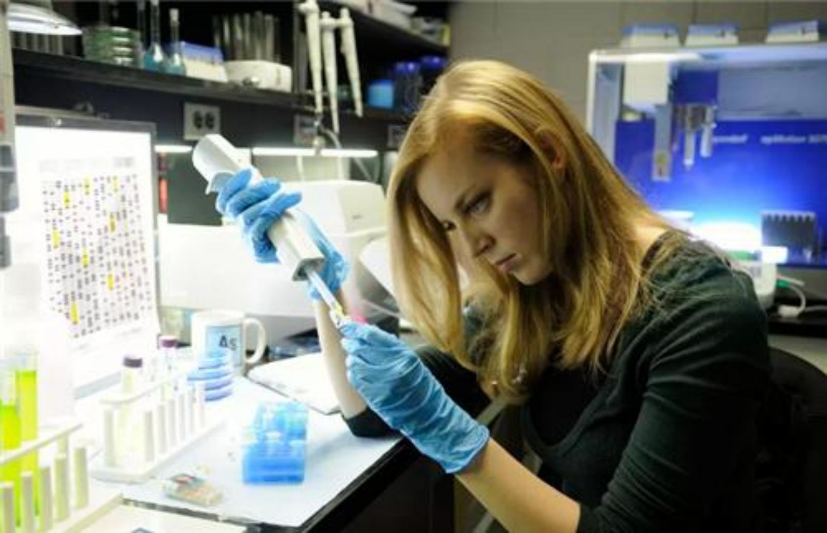 Is the "human-animal embryo hybrid experiment" an innovation or a ...