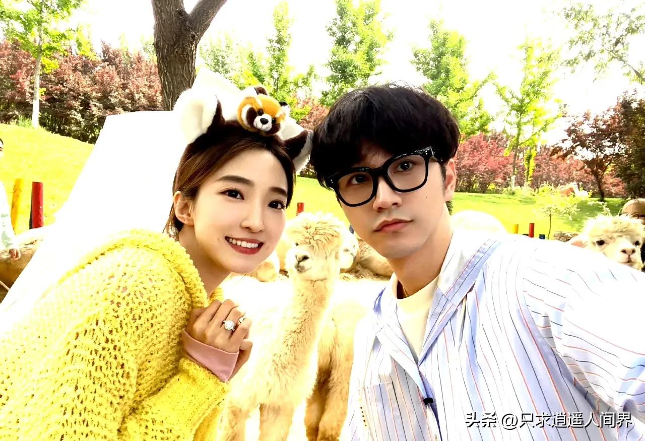 After 1461 days, anecdotal CP Zhao Qijun successfully proposed to Yang Kaiwen! - iNEWS