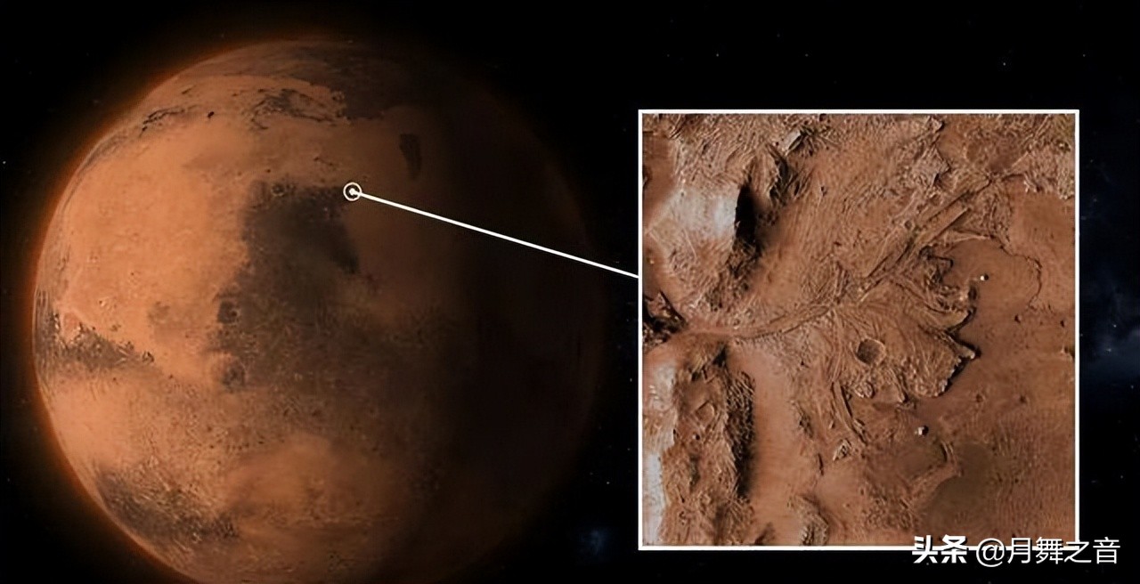 NASA photographed Mars with forests and bushes? - iNEWS