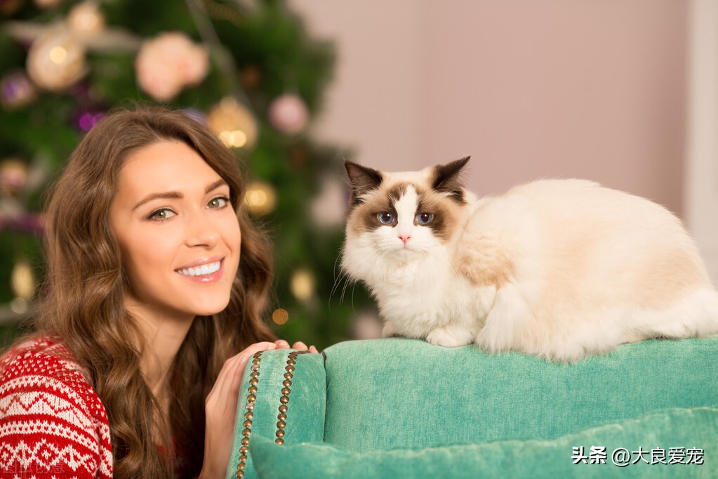 Why is my cat ignoring me, your cat seems to be ignoring you, what if ...