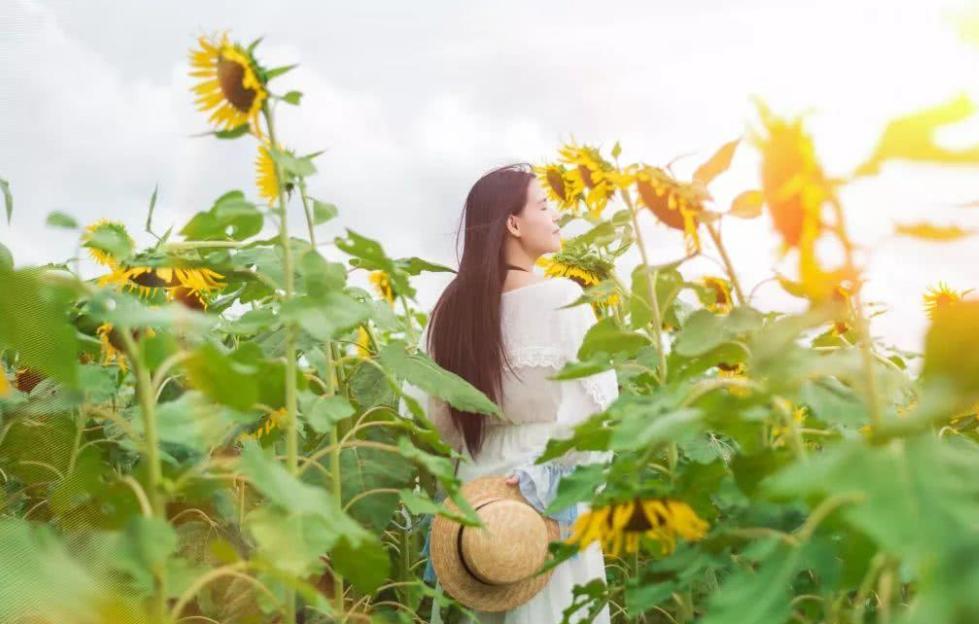 Cultivating a good temper and winning a good fortune - iNEWS