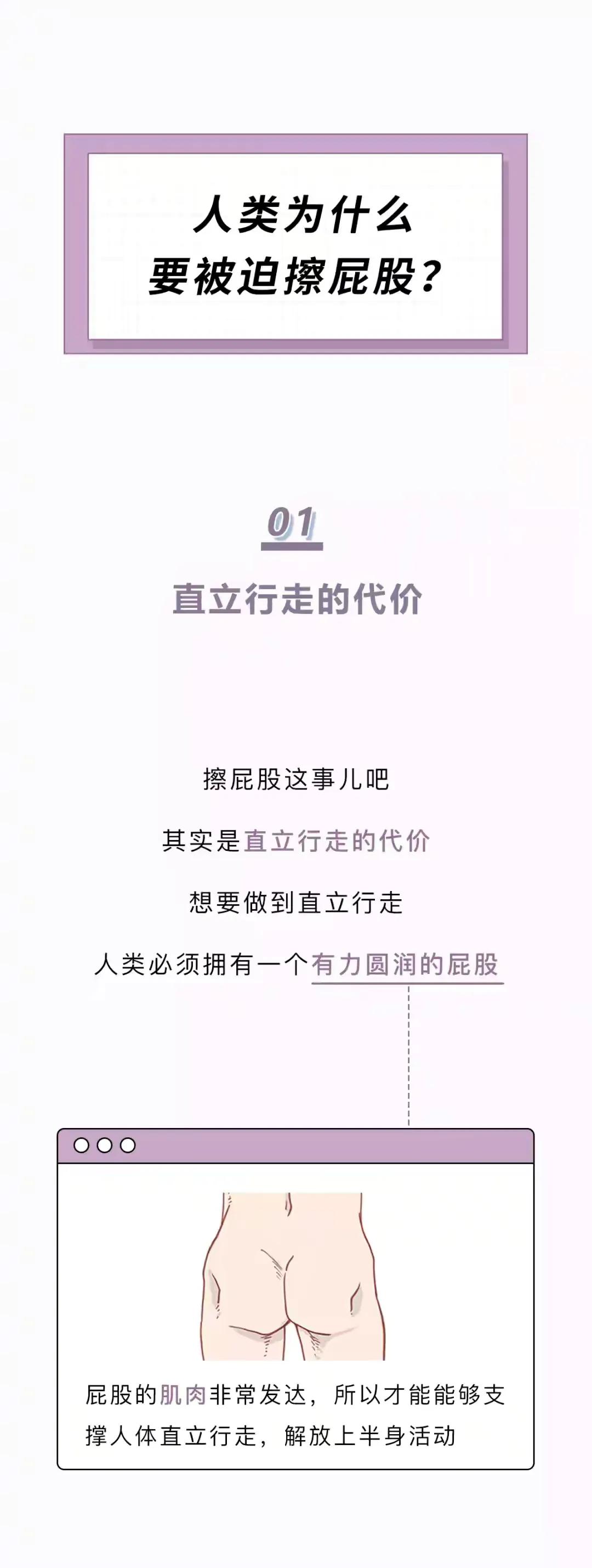 Why do many animals do not need to wipe after defecation, can it not be ...