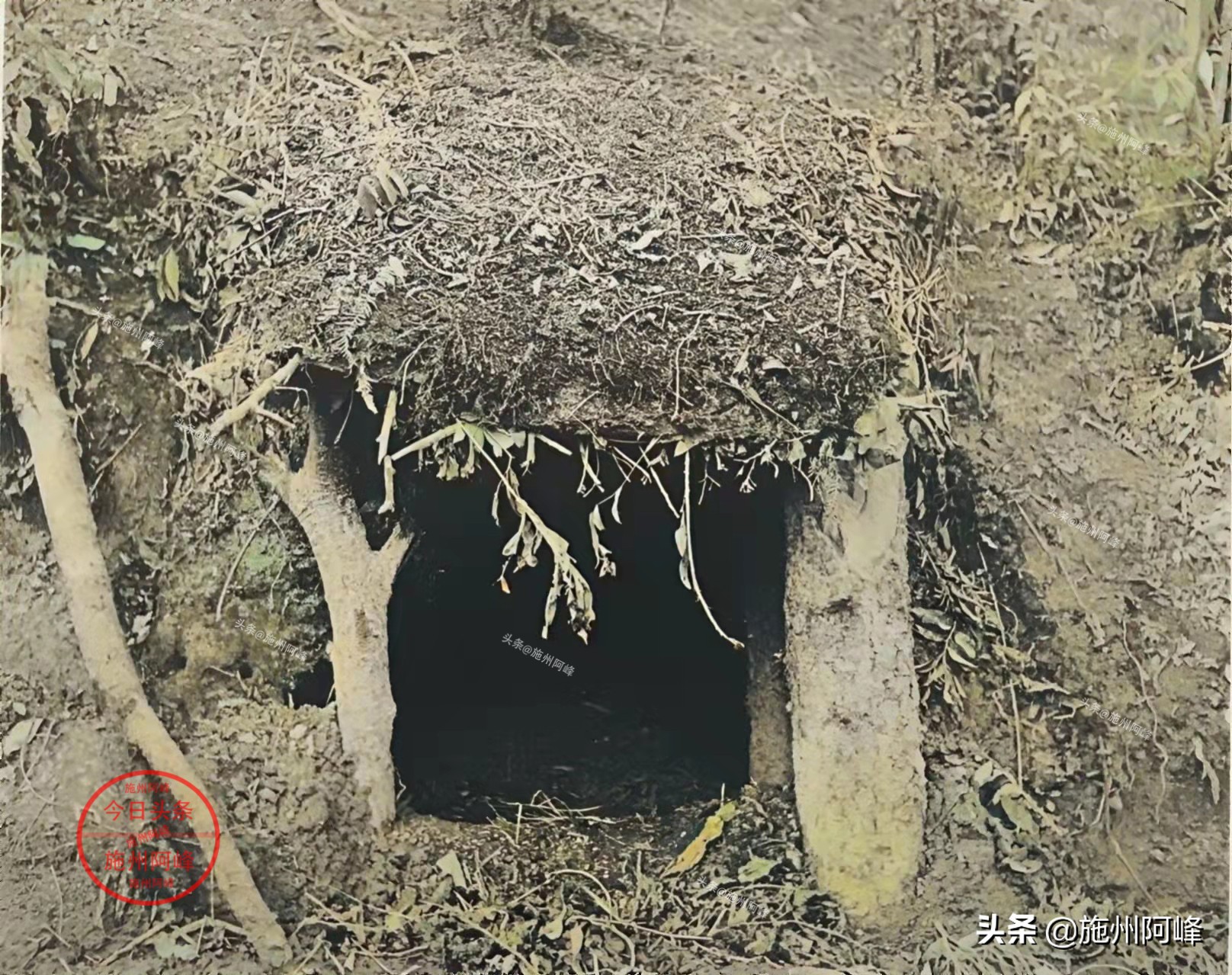 Chinese Expeditionary Force: Real Photos Taken on the Burma Battlefield ...