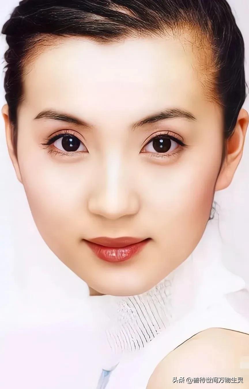 Chen Hao fashion photo album (collection quality) - iMedia