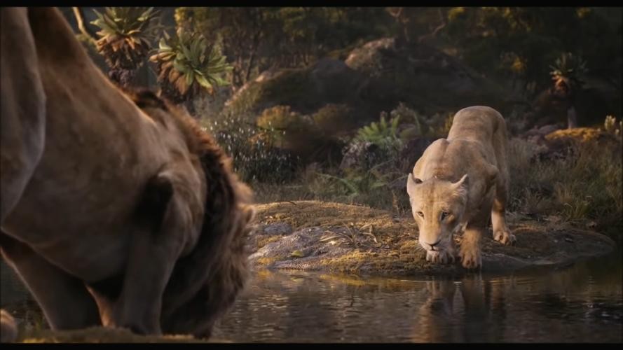 Simba encountered many difficulties and obstacles in the process of ...