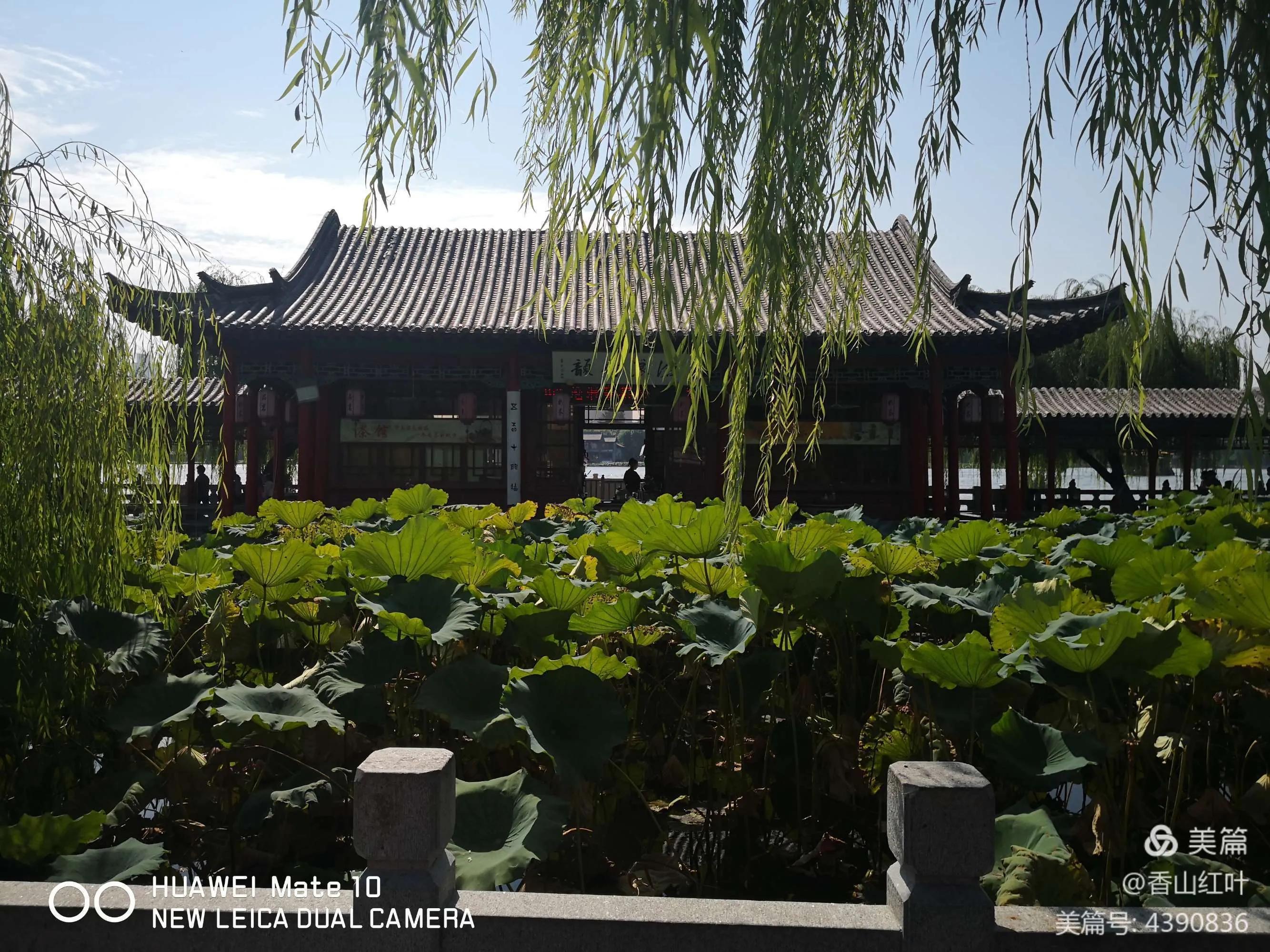 Autumn Tour to Daming Lake (Prose) - iNEWS