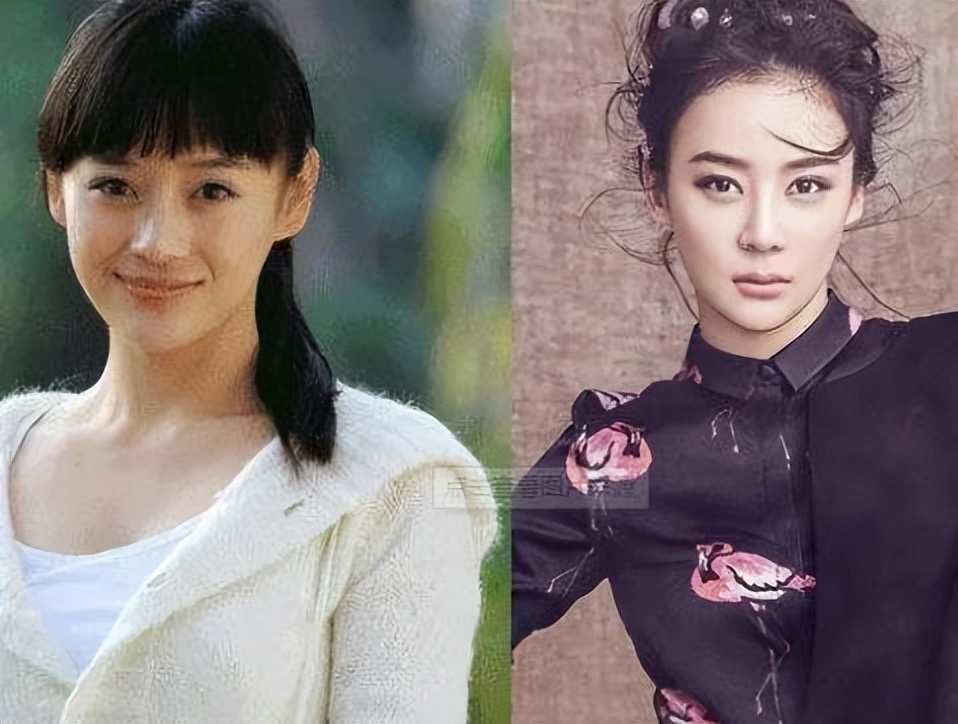 Li Xiaolu does not admit to plastic surgery, Yuan Shanshan has a fake ...