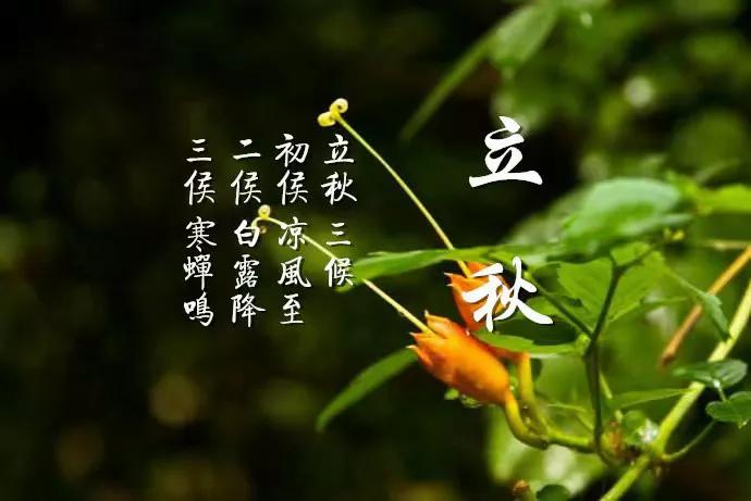 There are bandits and gentlemen, be cautious in the end as in the ...